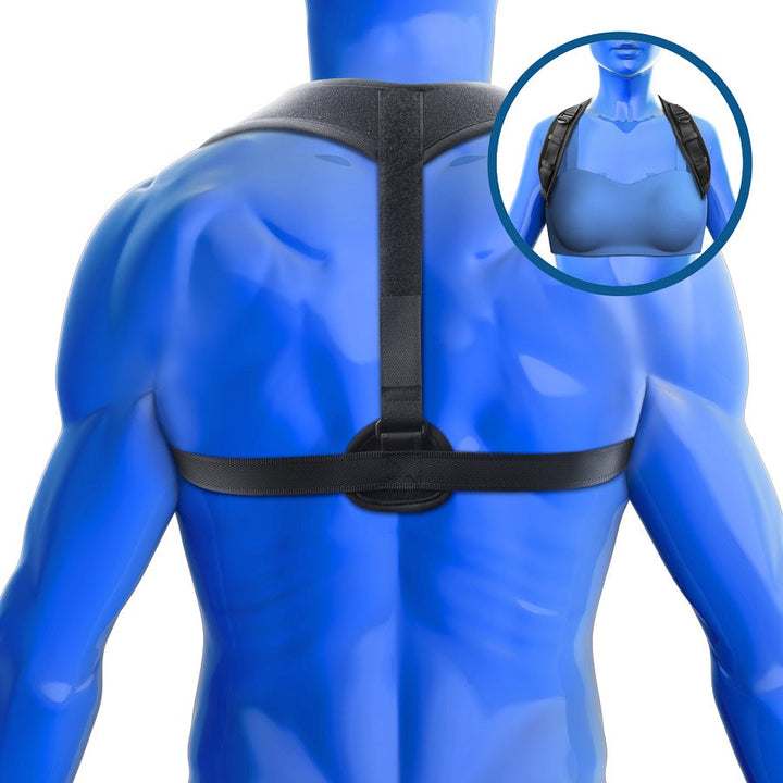 Kedley Back Supports – Kedley Pty Ltd